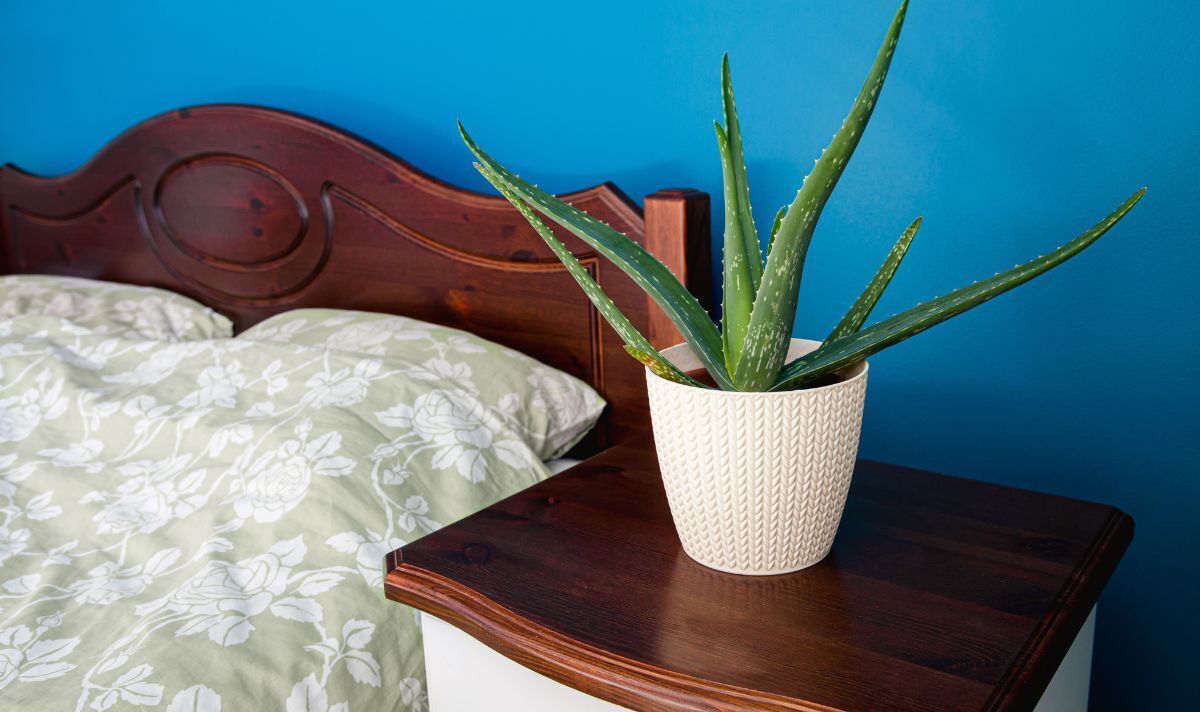 Insônia Nunca Mais: Transforme seu Quarto em um Refúgio do Sono com ... Insônia Nunca Mais: Transforme seu Quarto em um Refúgio do Sono com ...